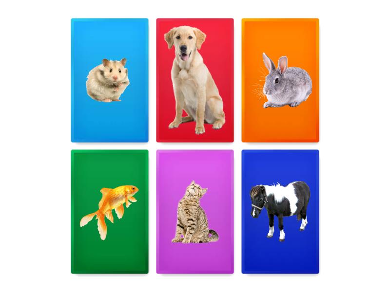 Pets - Flip tiles