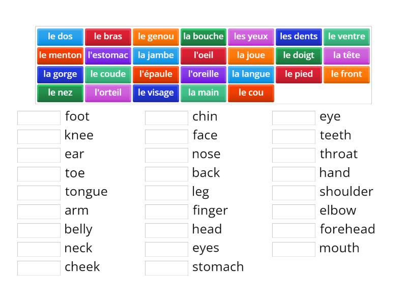 Parts of the Body in French - Match up
