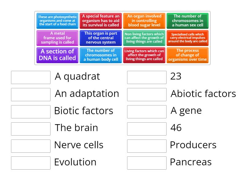 Biology paper 2 foundation warm up - Match up