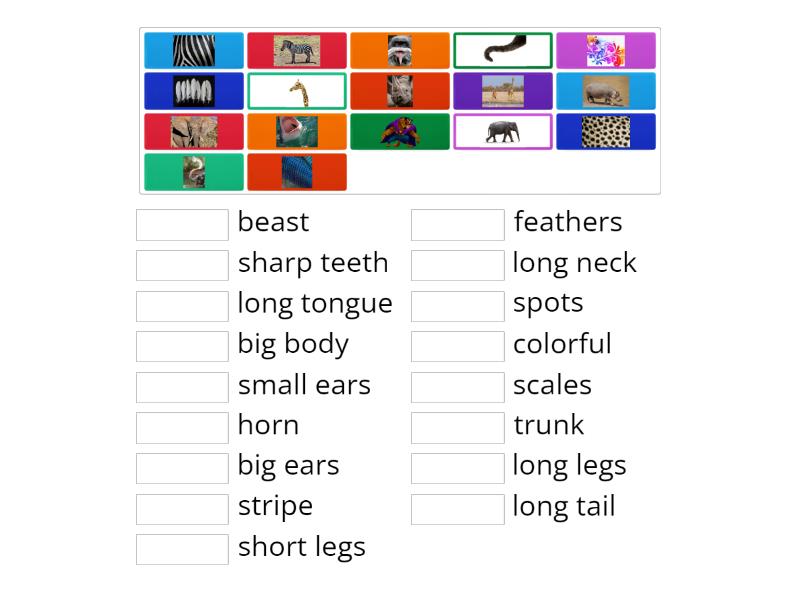 Animals body parts - adjectives - Match up