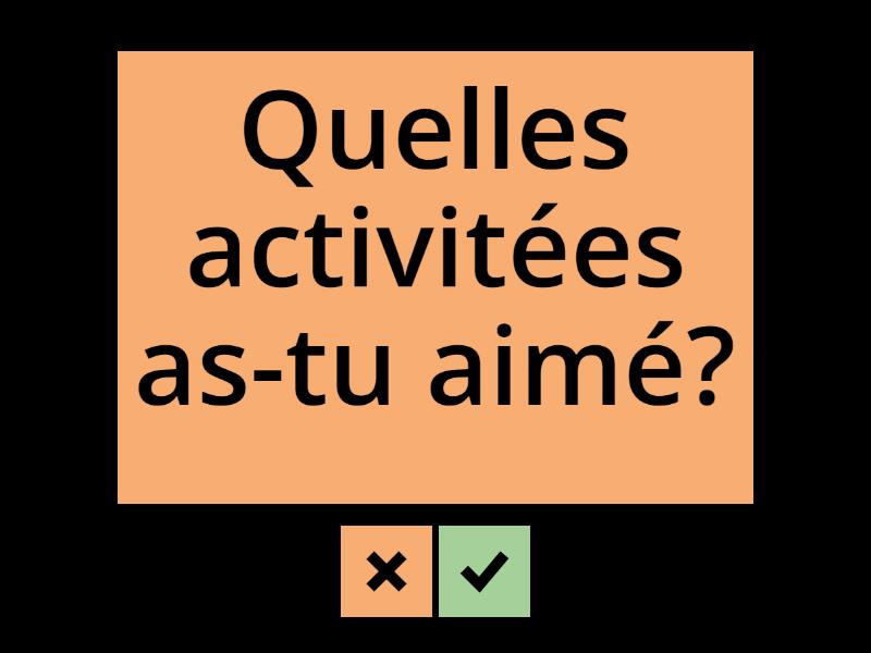 Questionnaire - Flash cards