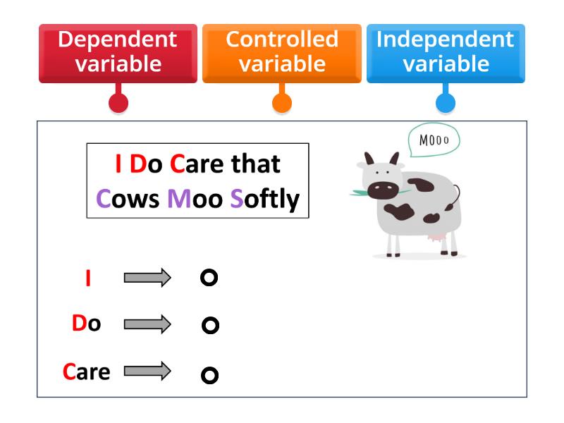 Remembering types of variables #1 - Labelled diagram