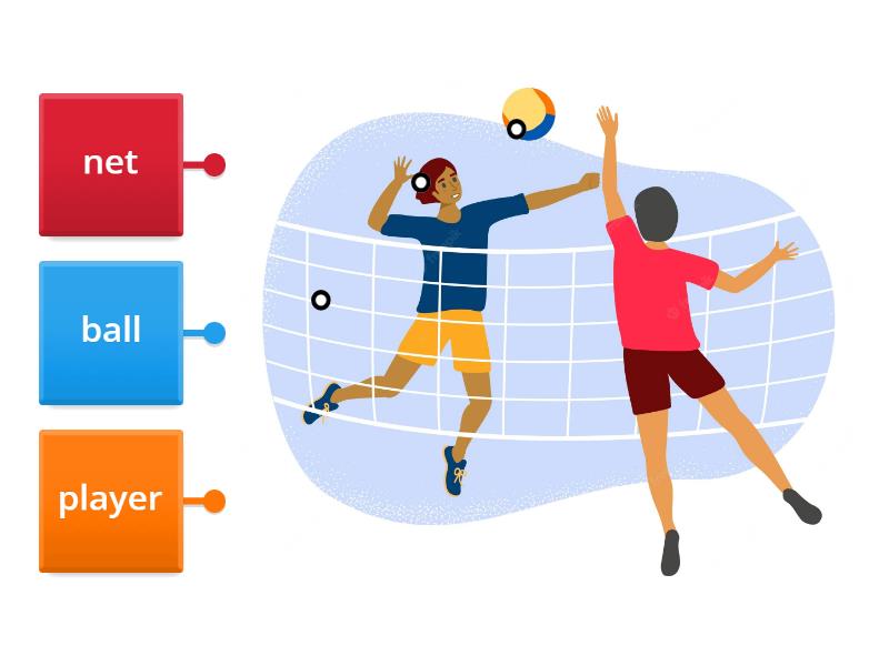 Volleyball game - Labelled diagram
