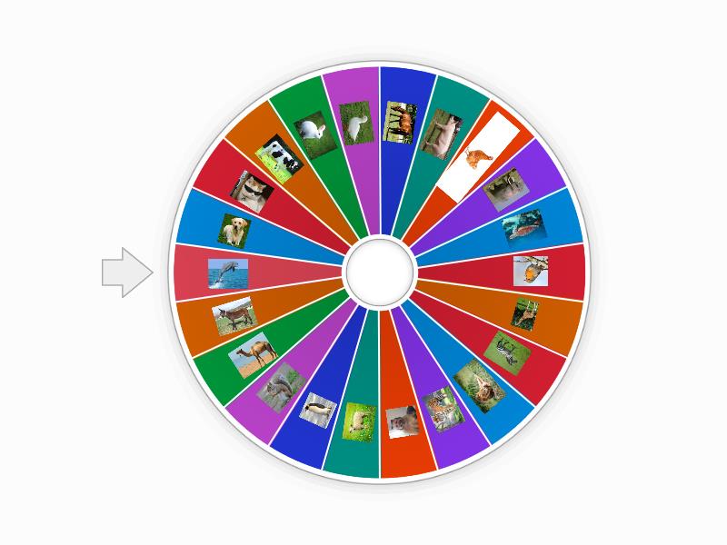 LA RUEDA DE LOS ANIMALES- NIVEL 1 - Spin the wheel