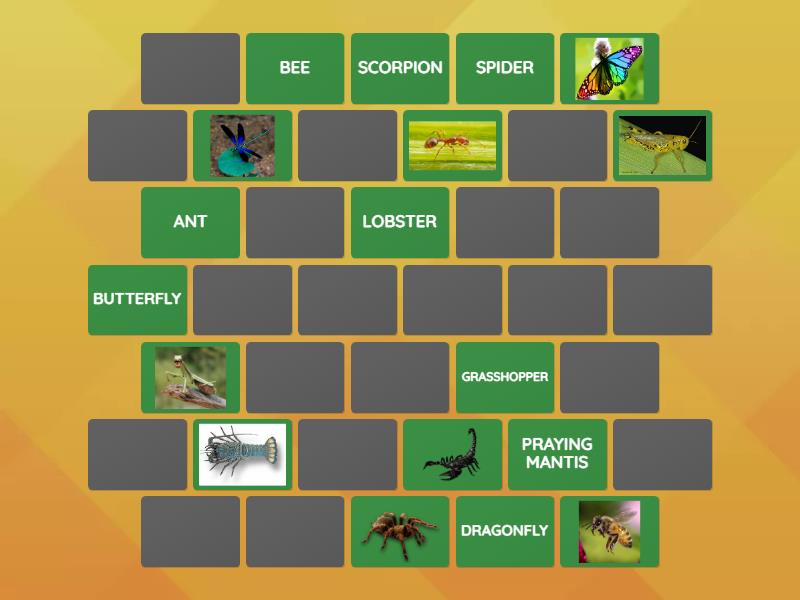 BUGS - Matching pairs