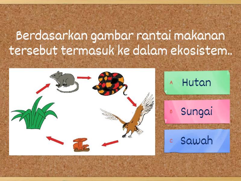 Game rantai makanan - Quiz