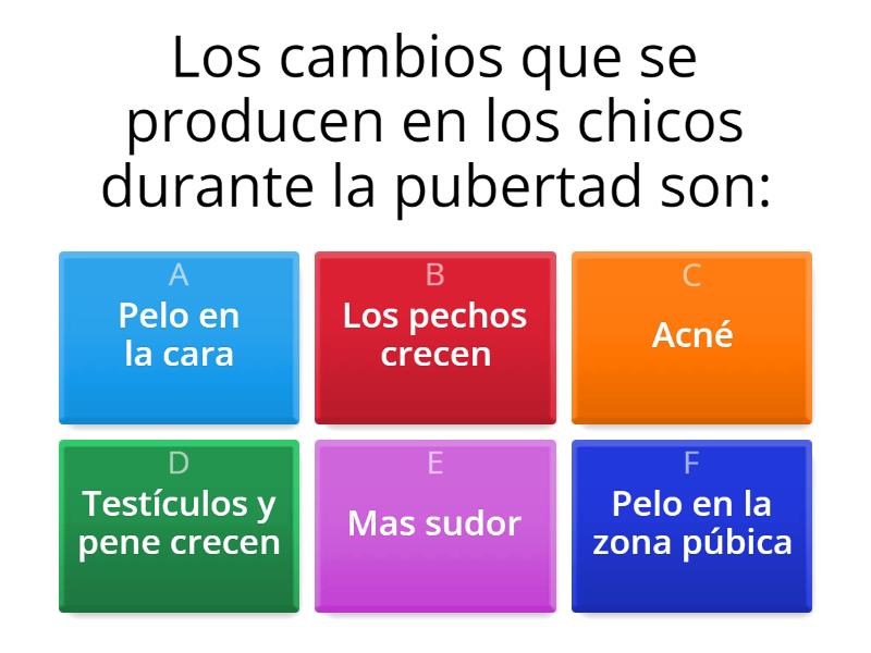 La reproducción humana - Quiz