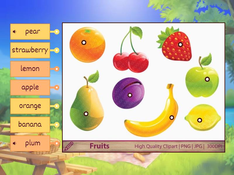 Fruit - Labelled diagram