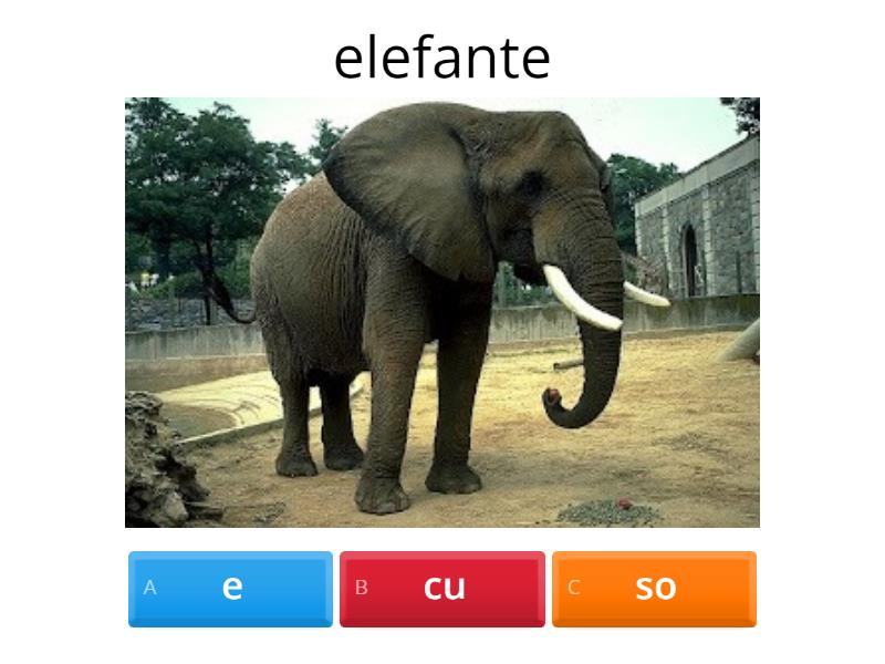 Encuentra la silaba inicial - Quiz