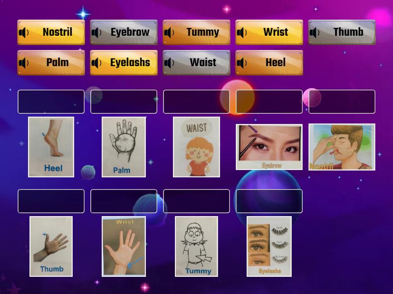 Bai 7_Where is your waist This is my waist - Match up