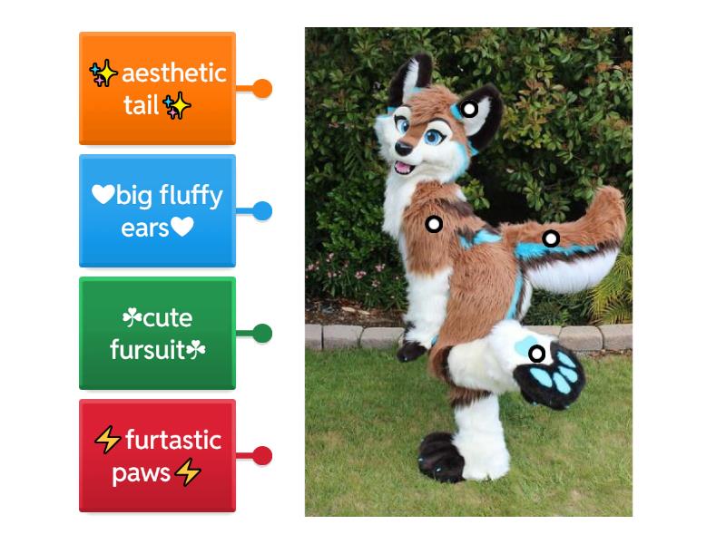 furry diagram - Labelled diagram