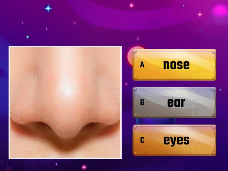 Face parts - Quiz