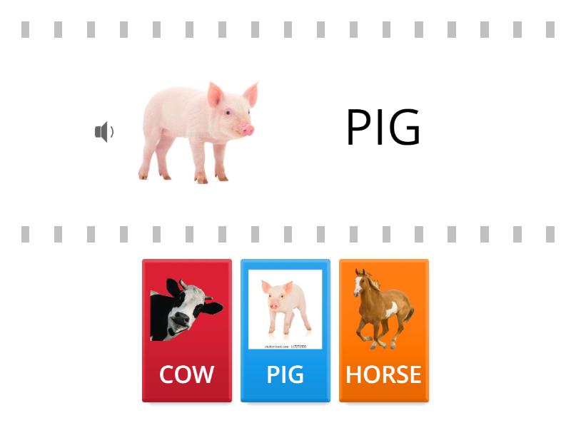 FARM PAIRS - Find the match