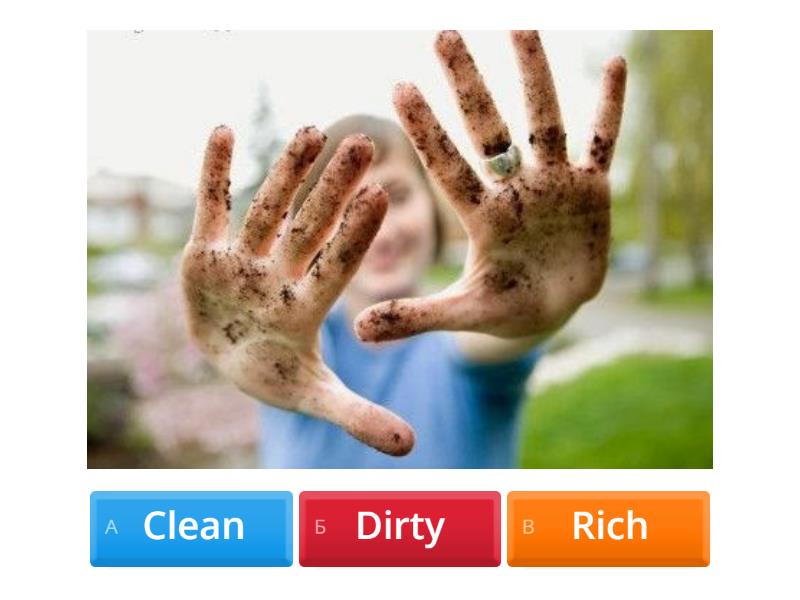 2b adjectives - Quiz