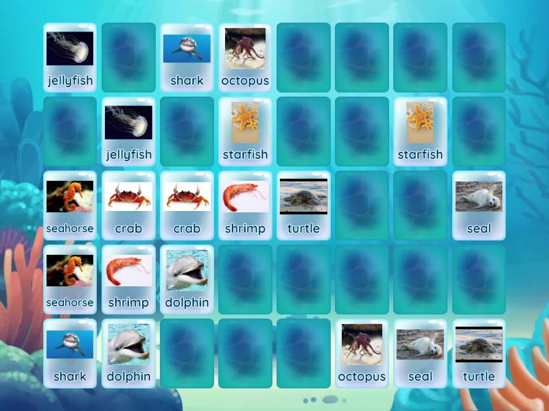 SEA ANIMALS - Matching pairs