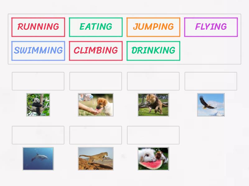 Animal actions -ing - Match up