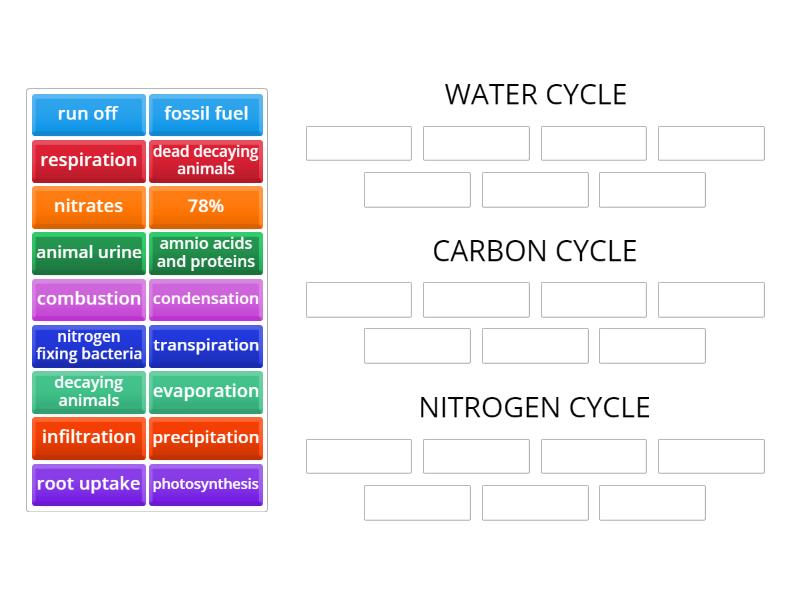 Cycles - Group sort