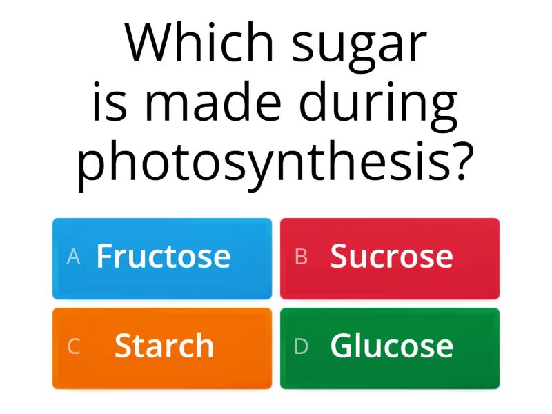 CES Photosynthesis GCSE - Quiz
