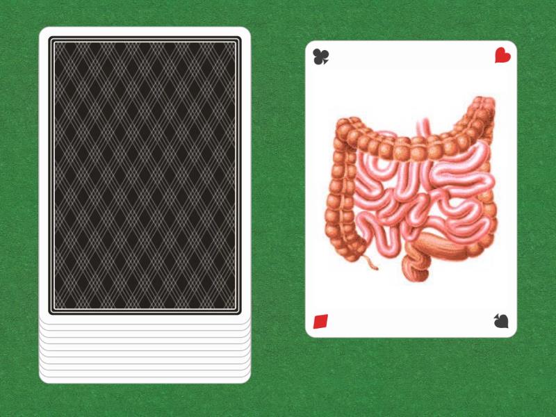 Internal organs - Speaking cards