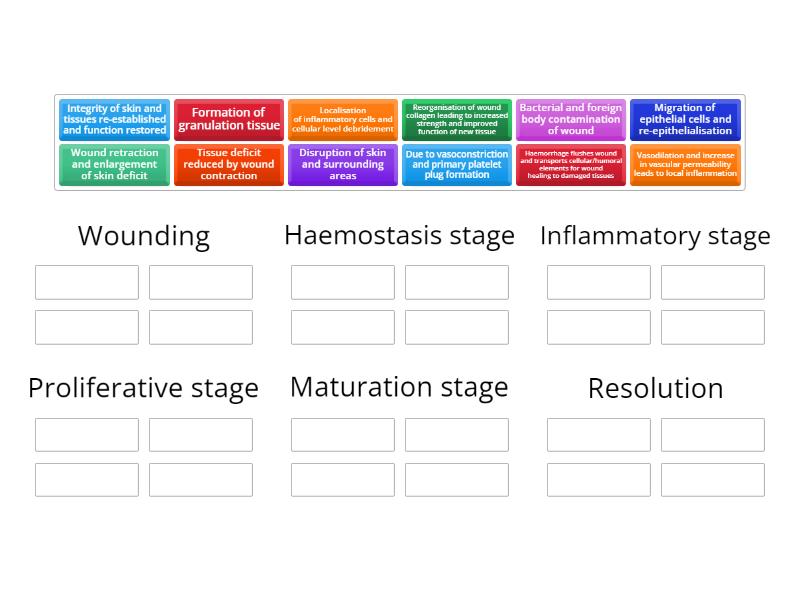 VNSA13-3.1 Stages of wound healing - Ordenar por grupo