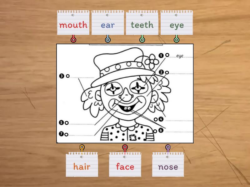 Kid's box 1 Unit 6 Face - Labelled diagram