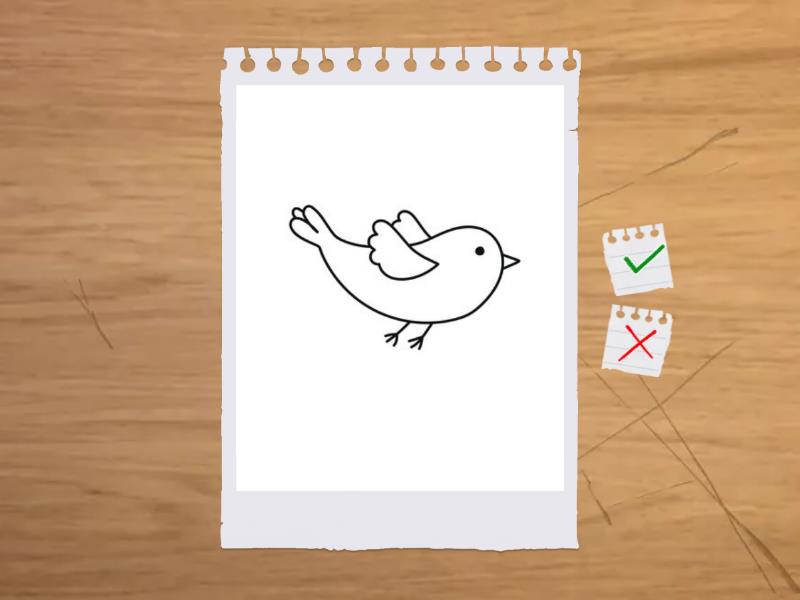 Describe the Pictures (Hard) - Flash cards