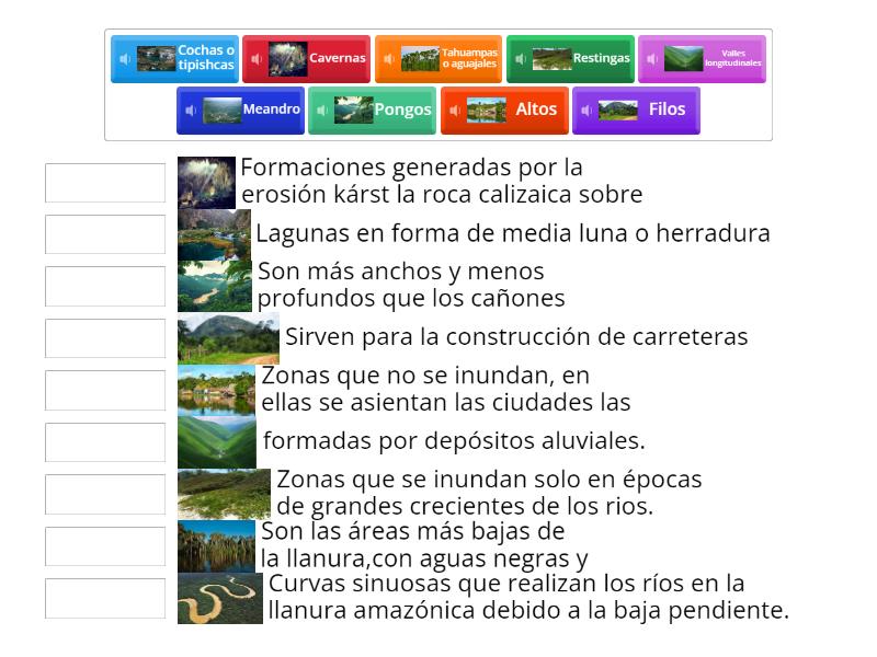 RELIEVE DE LA SELVA ALTA (RUPA RUPA) - Match up
