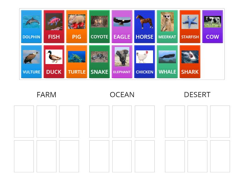 CLASSIFY ANIMALS - Group sort