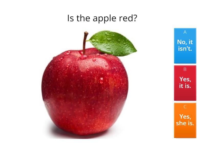 Verb to be - Affirmative/Negative/Interrogative/Short Answers - Quiz