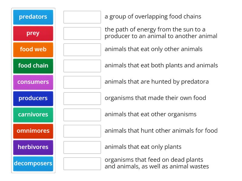 Food Chains & Food Webs Vocabulary - Match up