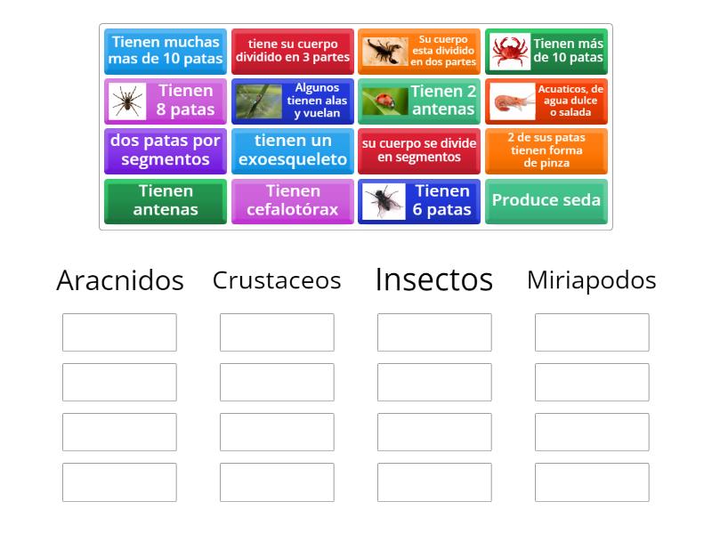 Características de los Arácnidos, crustáceos, miriapodos e insectos ...