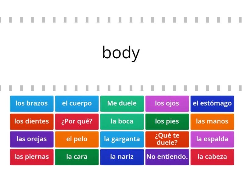 Spanish Body Parts - Find the match