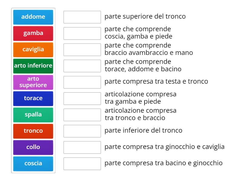Le parti del corpo - Match up