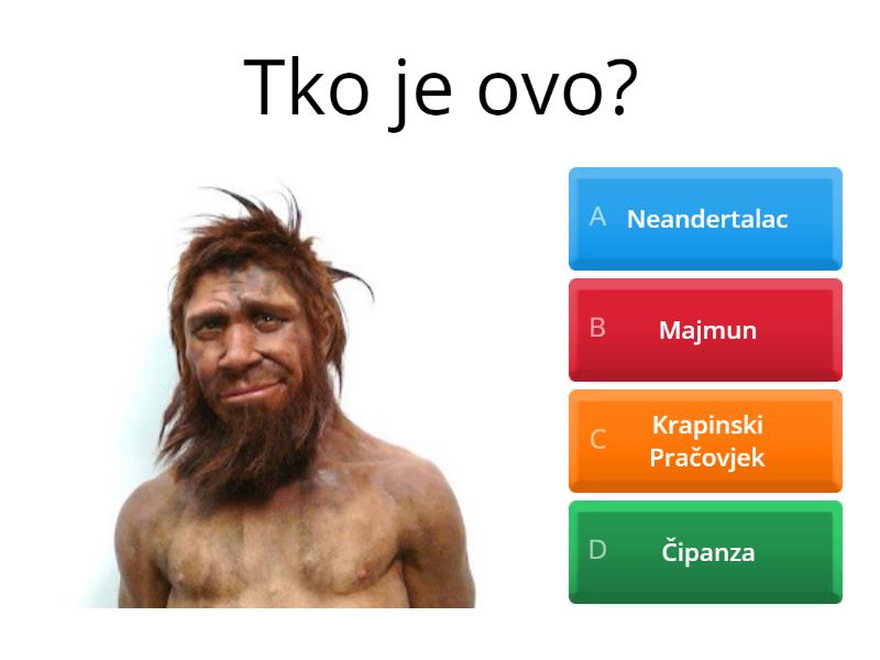 Evolucija ljudske vrste - Cuestionario