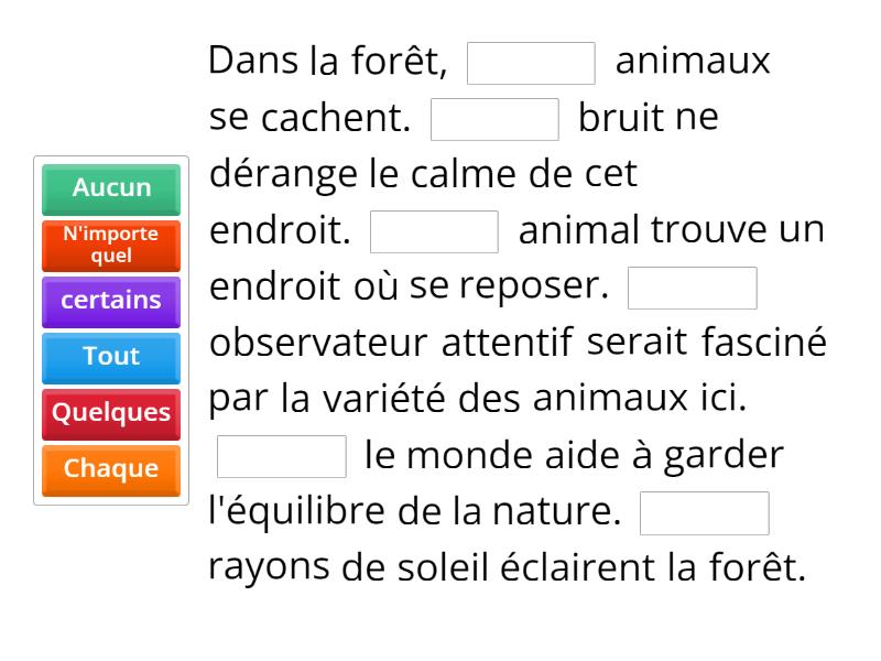 Adjectifs Indéfinis (Grammaire A2) - Complete the sentence