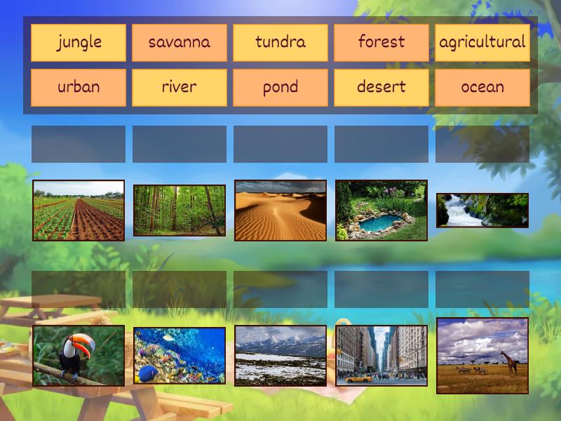 Ecosystems - Match up