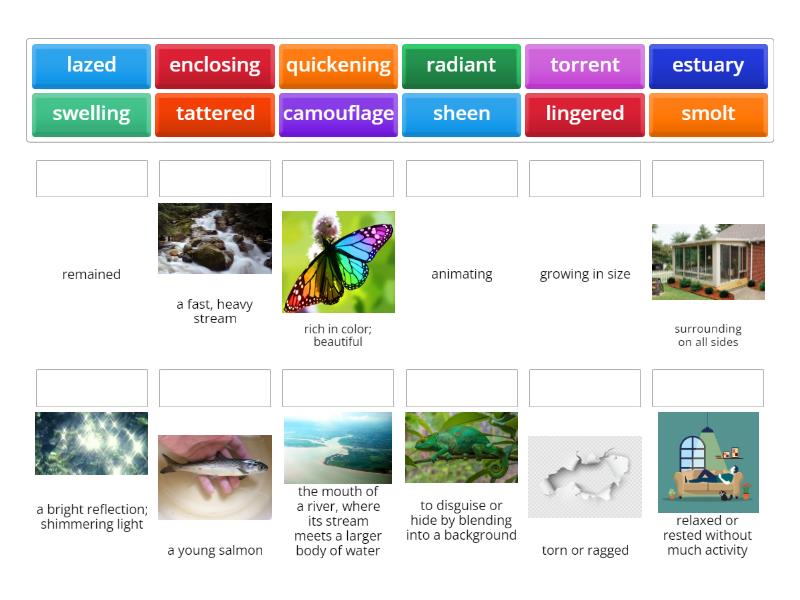 Salmon Creek Vocabulary - Match up