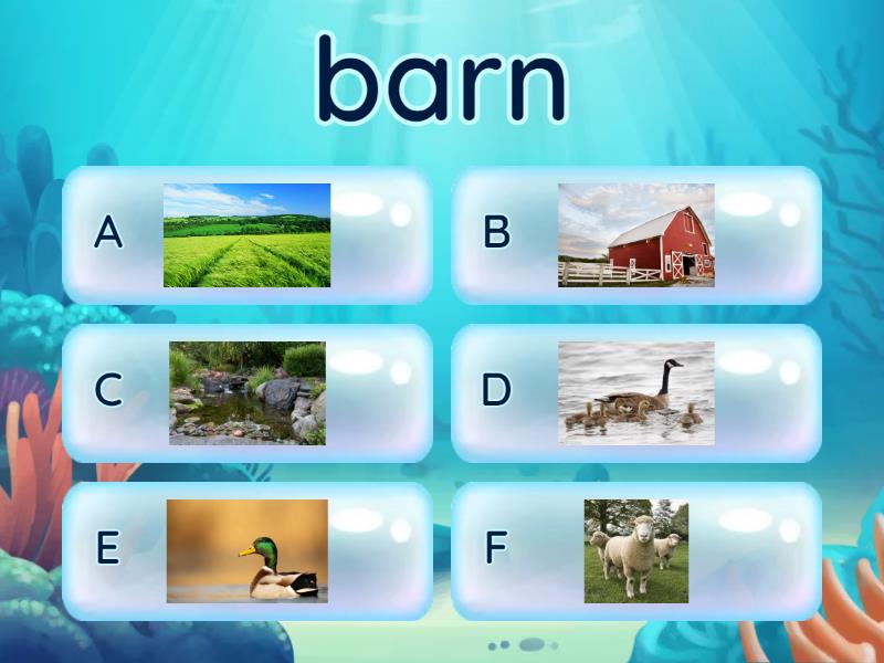 Farm - Quiz
