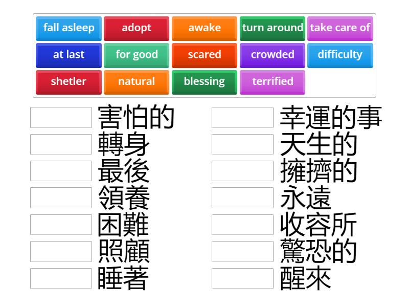 龍騰B1L5 vp - 匹配遊戲