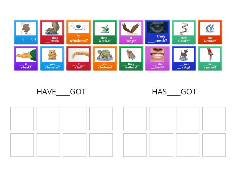 Have/Has got - Questions - Group sort