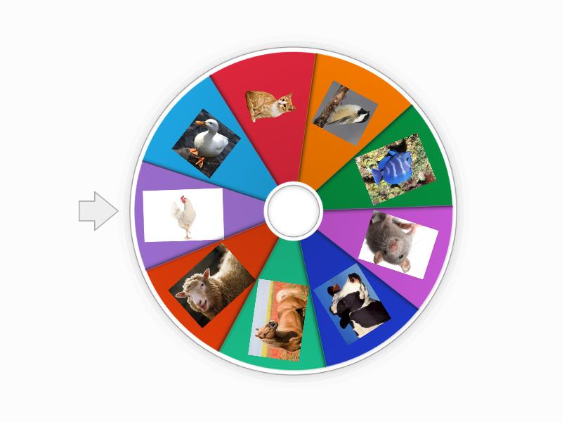 animals - Random wheel