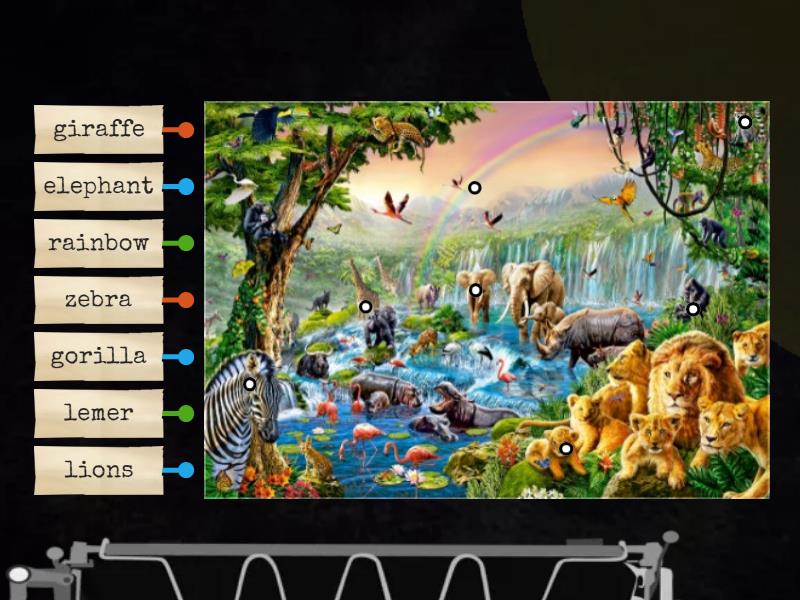 jungle sheet - Labelled diagram