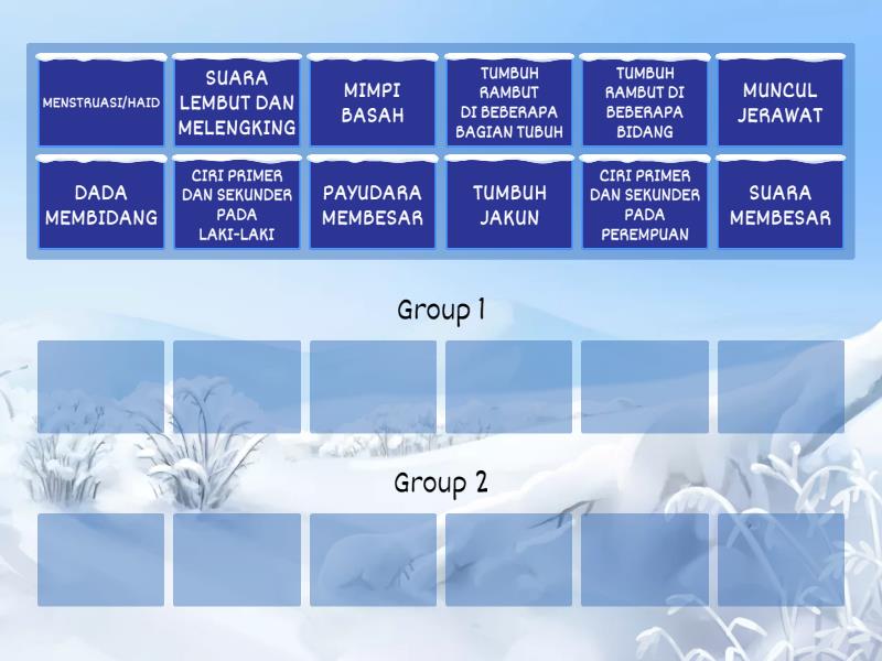 IPA KELAS VI TEMA 7 TENTANG PUBERTAS - Group sort