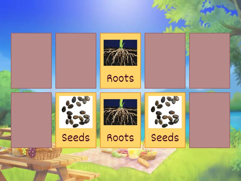 Memory Game - Parts of Plants - Matching pairs