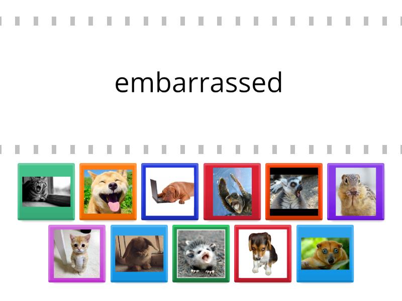 Feelings 2G Sol Elem - Find the match