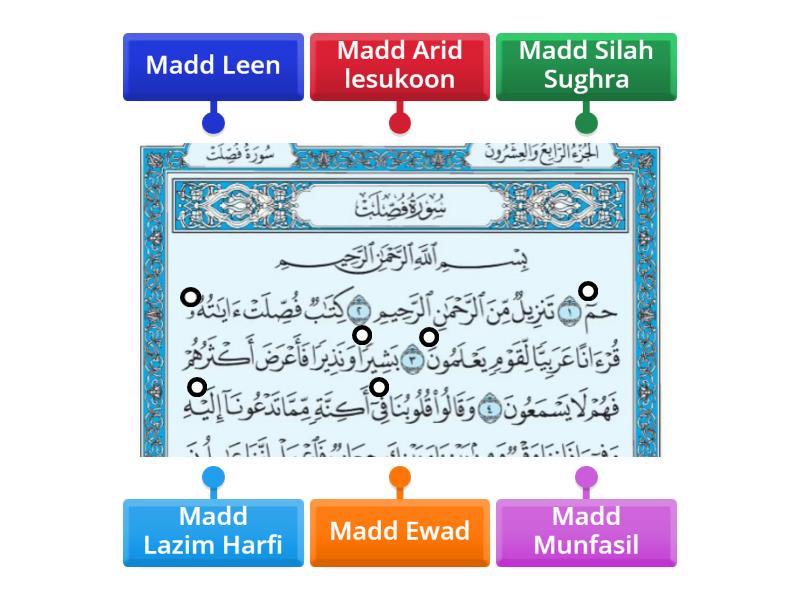Madd Rules - Labelled diagram