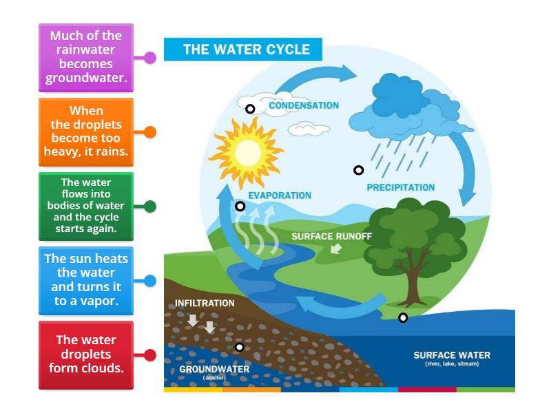 The water cycle. - Labelled diagram