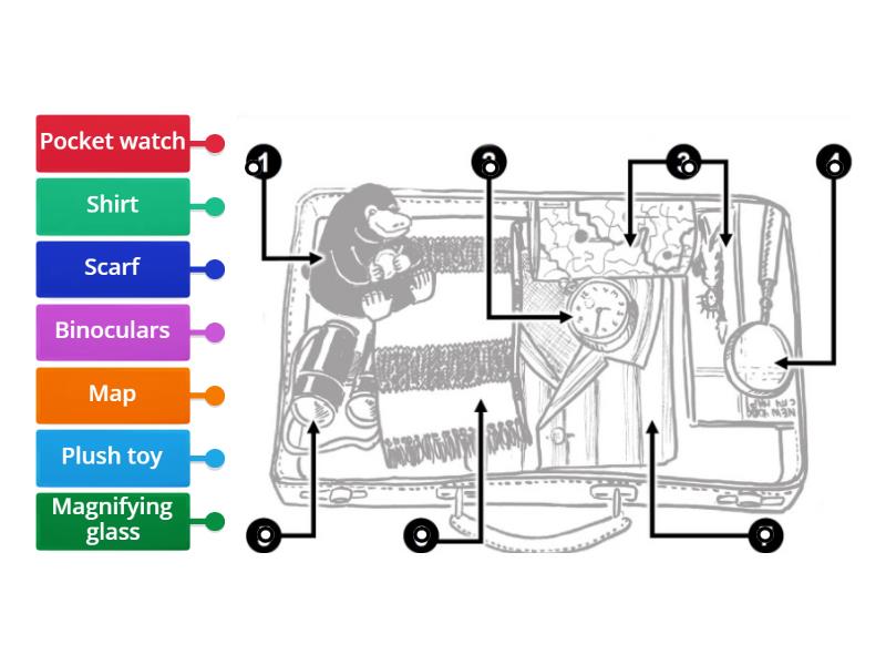 Newt's suitcase - Labelled diagram
