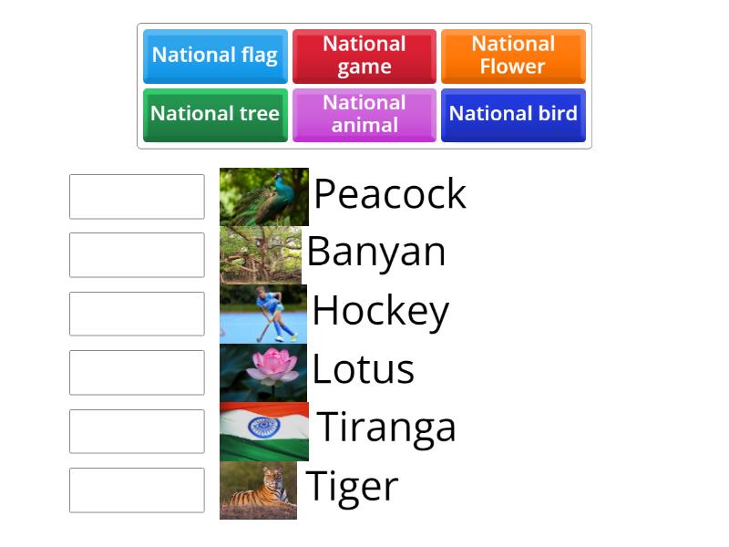 National symbols - Match up