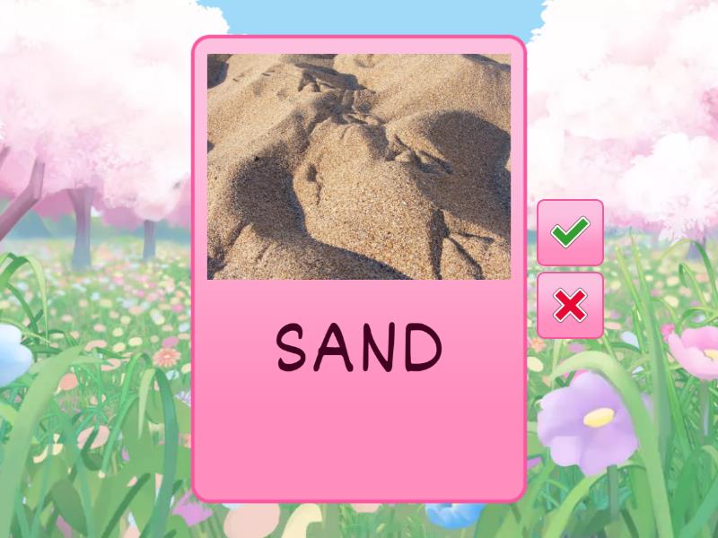 TECHNICAL VOCABULARY (ANIMAL PRODUCTS-SOIL) - Flash cards